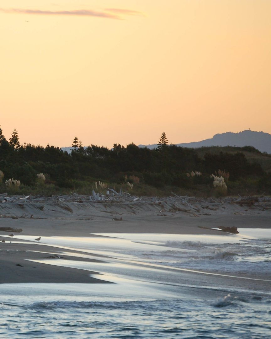 Sunair Flight Schedule - Daily Regional Flights | Sunair